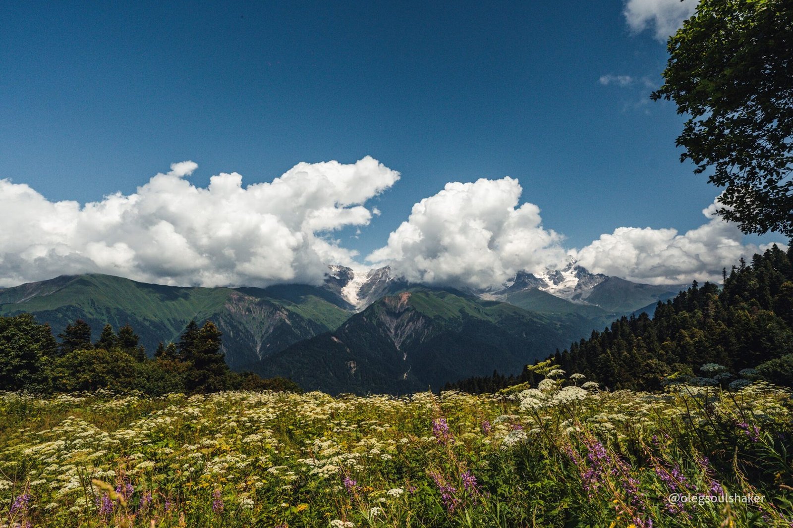 Racha - Tours Overview of the Picturesque Region of Georgia